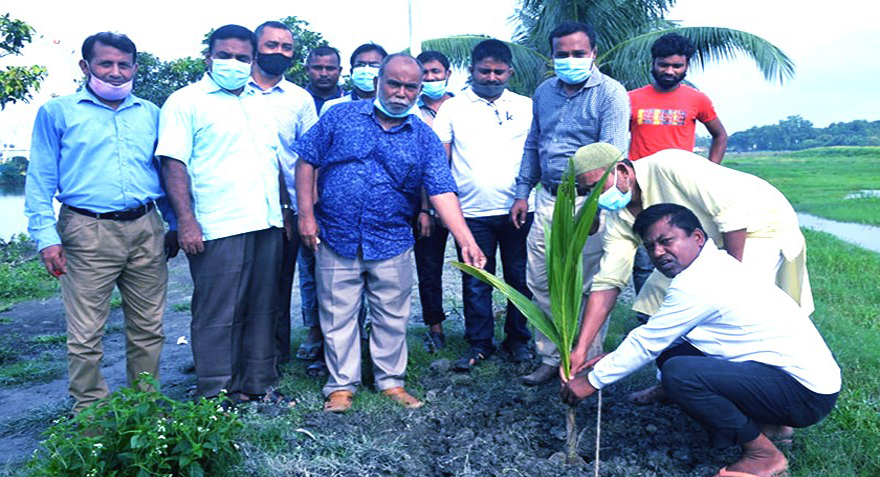 Massive tree plantation for ecological balance stressed | Climate ...