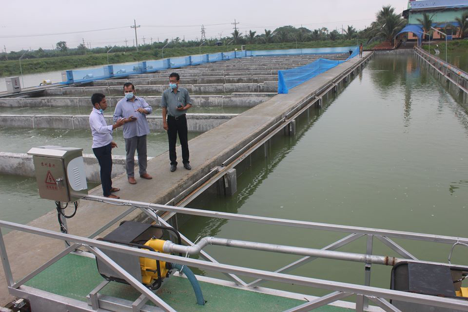 IPRS technology creates new hope for fish farmers in Rajshahi region | News