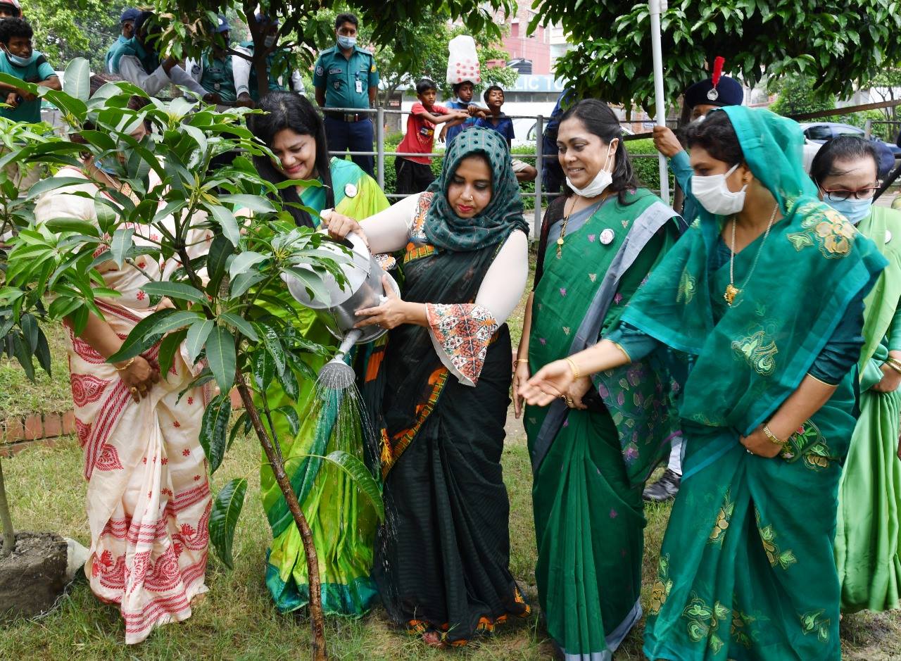 Punak launches social forestry campaign to green Bangladesh | News