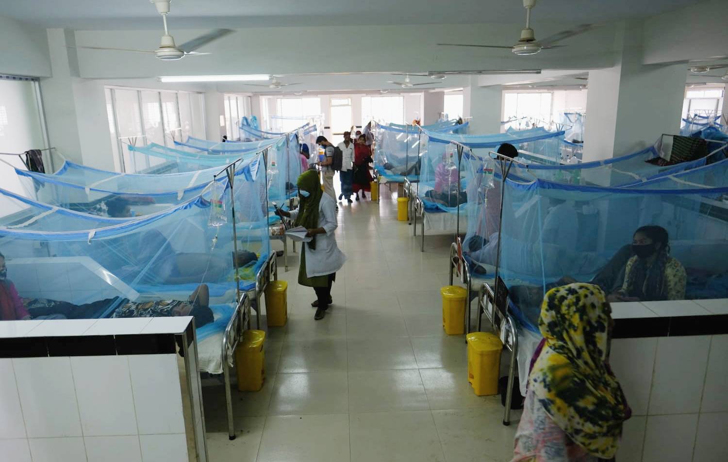 265 dengue patients admitted to hospitals in 24 hours: DGHS | News