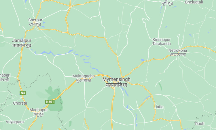 Five killed in Mymensingh road crash | News