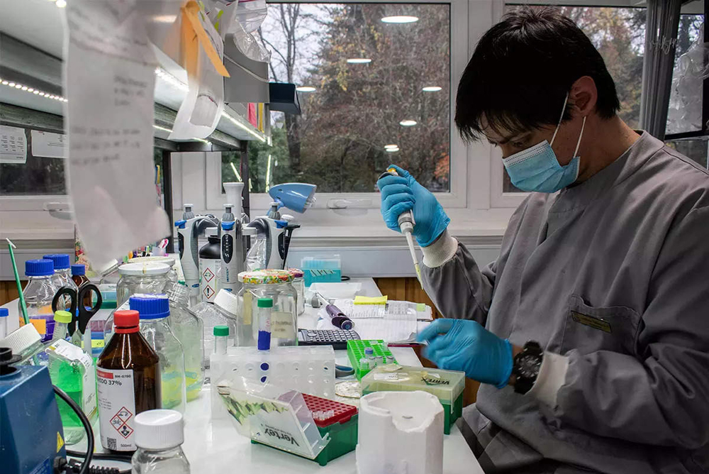 Experimental mRNA vaccine for HIV shows promise in animals | News