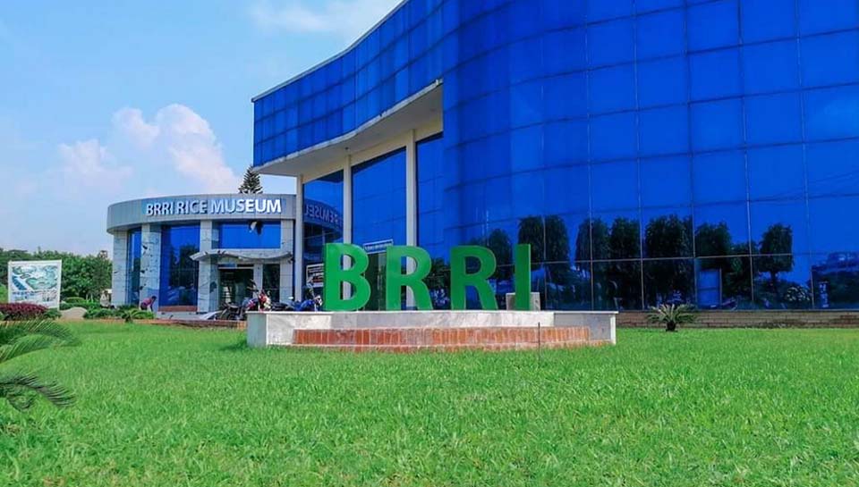 BRRI opens a rice museum in Gazipur | News Flash