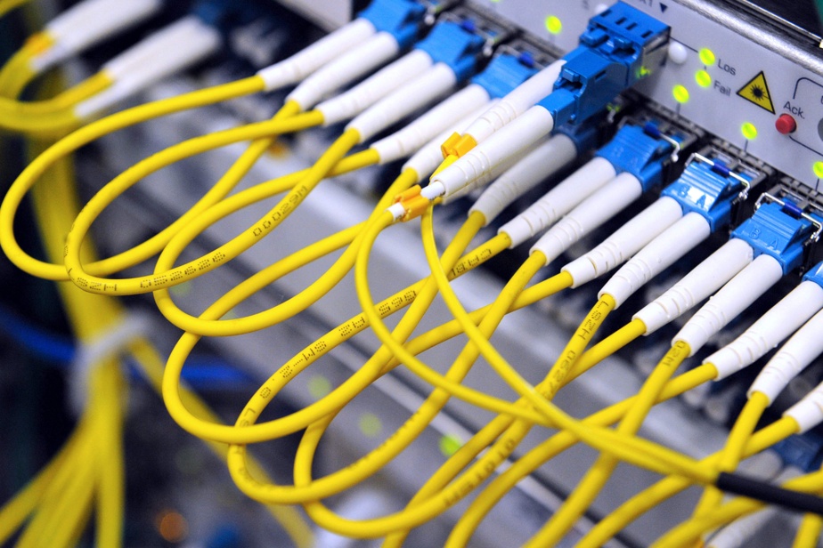 US joins with 55 countries to promote free internet | News