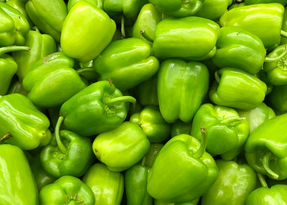 Green pepper cultivators happy to get optimum production & price in ...