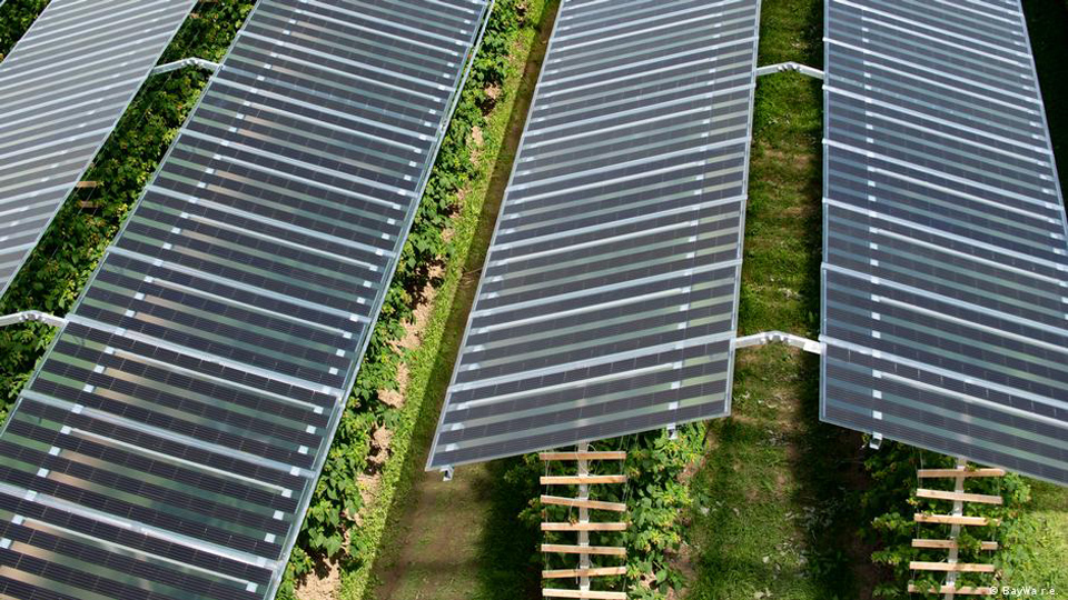 Cheaper, changing and crucial: the rise of solar power | News