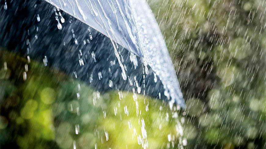 Light to moderate rain likely | News