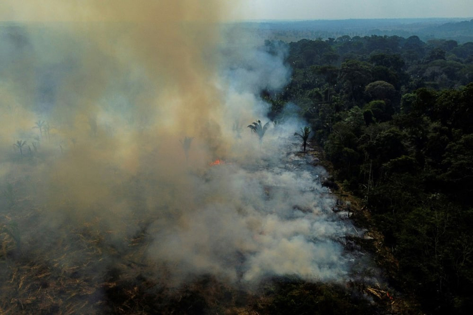 High stakes for climate-change race in Brazil vote | News