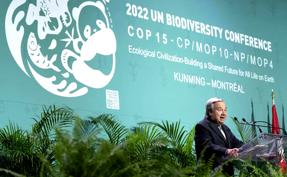 Biodiversity talks open as UN chief calls for 'peace pact' with nature ...