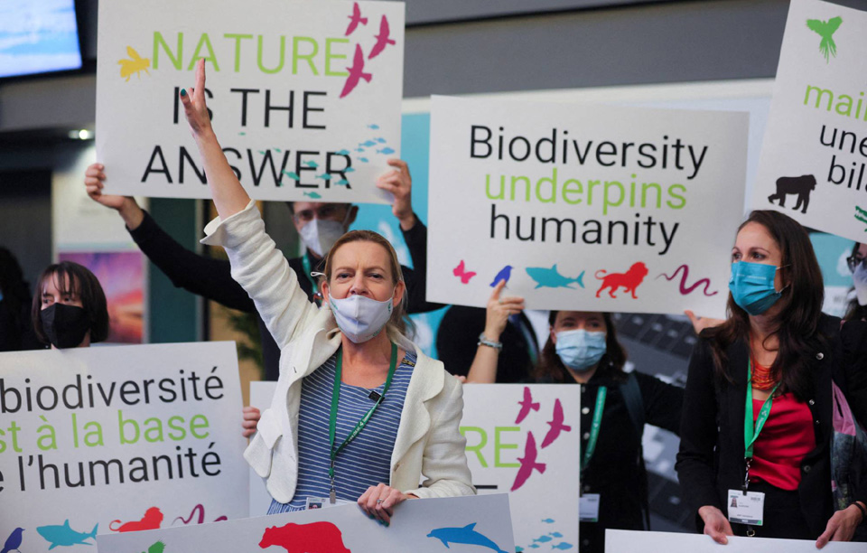 Developing nations demand more money at crunch UN biodiversity talks | News