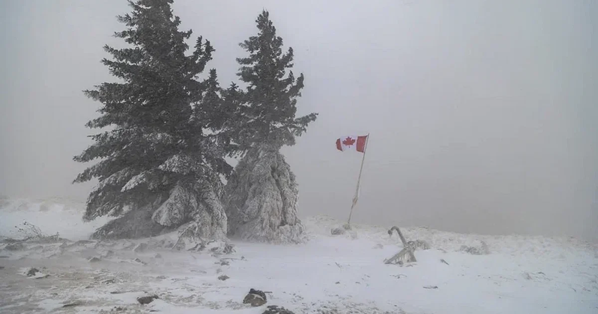 Savage US blizzard leaves 31 dead, power outages, travel snarls | News ...