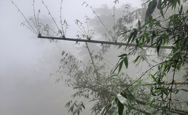 Mild to moderate cold wave may continue in four places | News