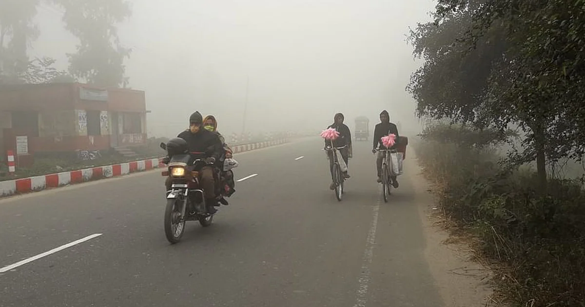 Mild cold wave may spread | News