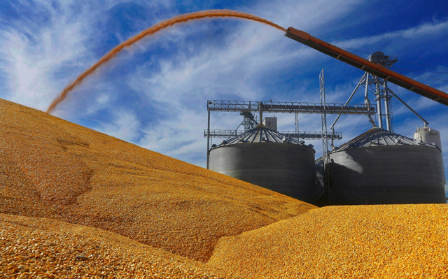 Mexico softens GMO corn ban that rankled US | Business