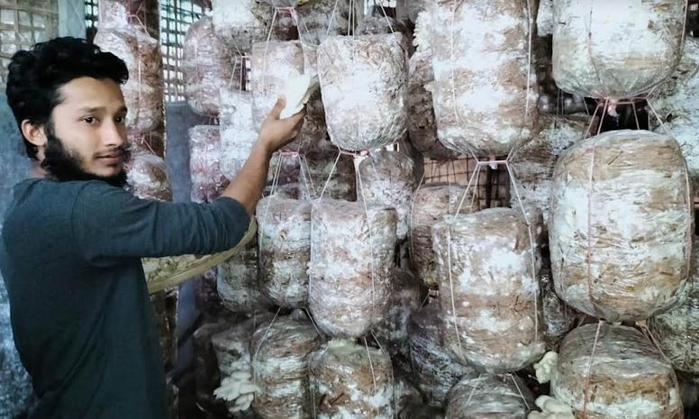 Sherpur young entrepreneur becomes self-reliant by cultivating mushroom | Agriculture News