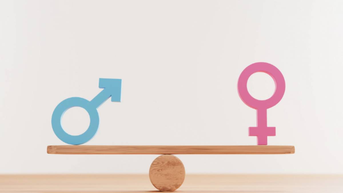 Gender equality reforms at slowest pace since 2001: World Bank | Business