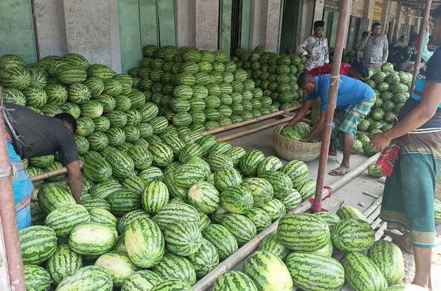 Bumper yield brings smile to watermelon growers in Khulna | Agriculture ...