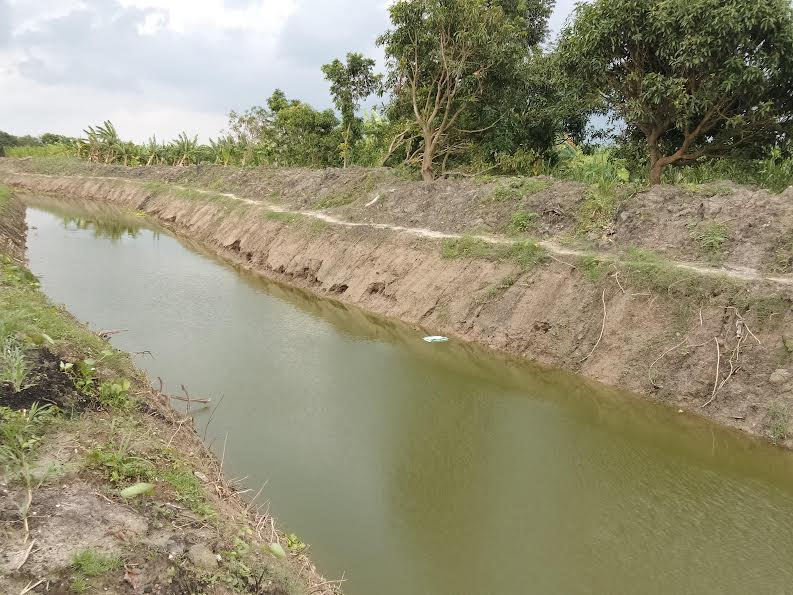 Surface water irrigation yields 42,000 tonnes more crops in Rajshahi | Agriculture News