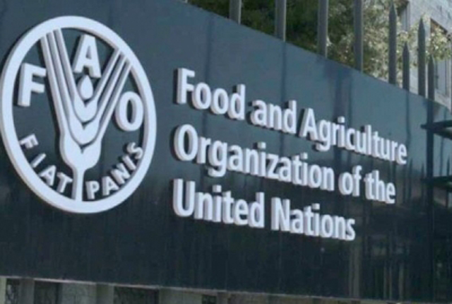 Empowering women in food, agriculture untapped source of growth: FAO | News