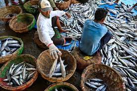 Indonesia economy grows faster than expected despite lagging exports ...
