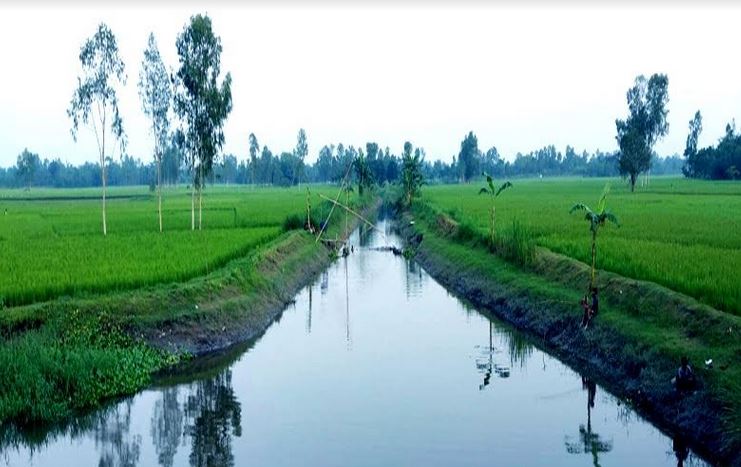 EIR project effectively contributes to enhancing food production | News