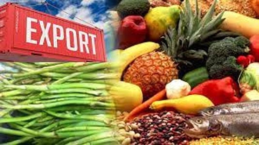 Bangladesh to gain capacity to export agri products to all countries ...