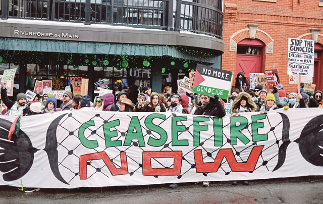 Gaza activists urge voters to write 'ceasefire' on US primary ballots | News