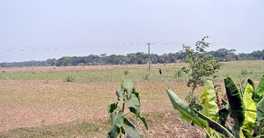 Shahid for formulating action plan to bring fallow land under ...