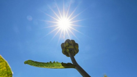 UN confirms Europe hit record high temperature in 2021 | News