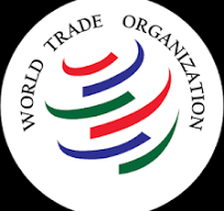WTO ministerial conference begins in Abu Dhabi | Business