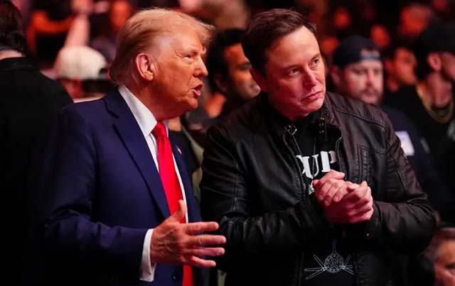 Trump sides with Musk in right-wing row over worker visas | News