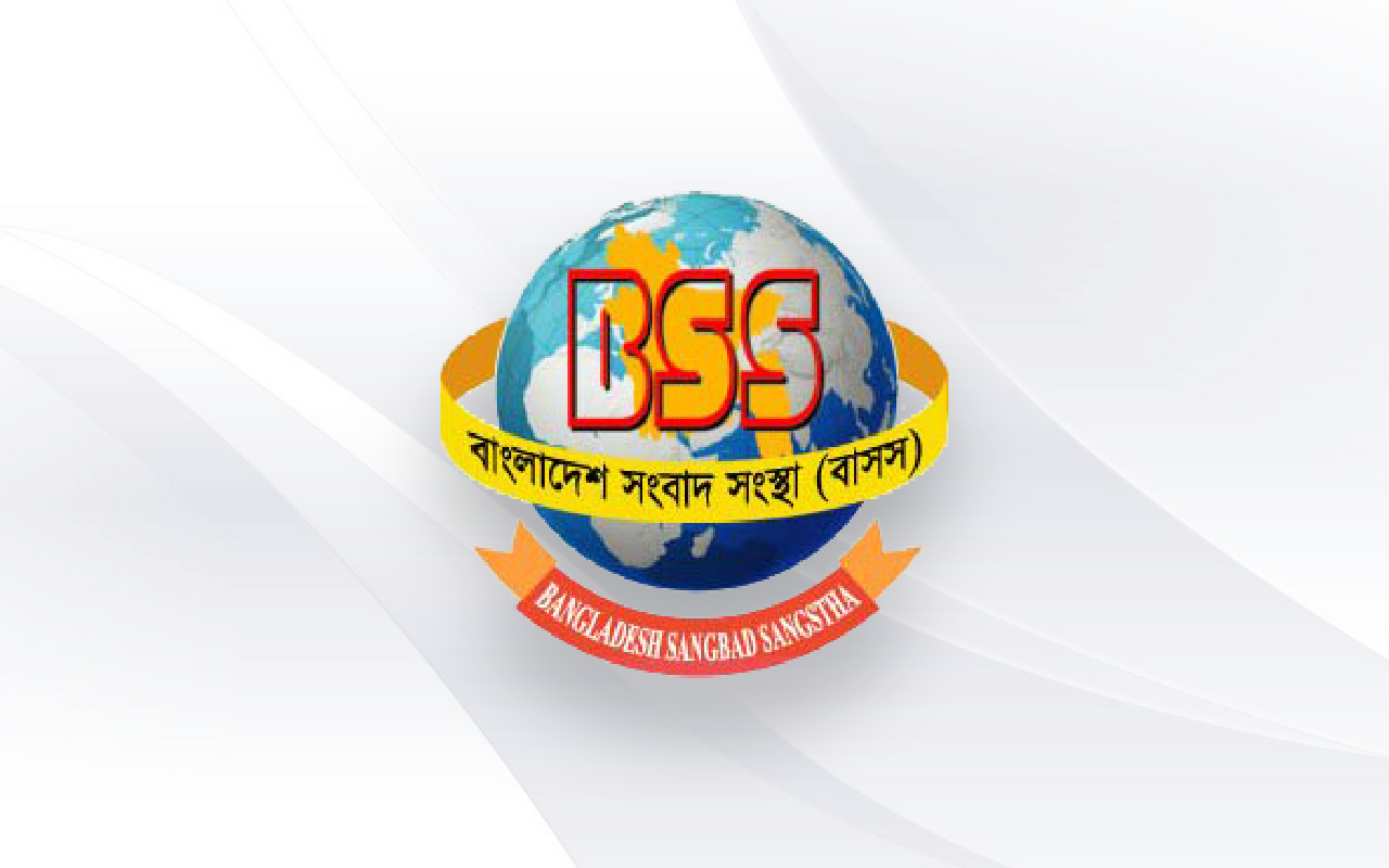 Bss Audio Logo